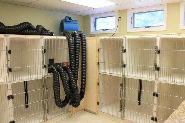 Photos | Mansfield Pet Boarding